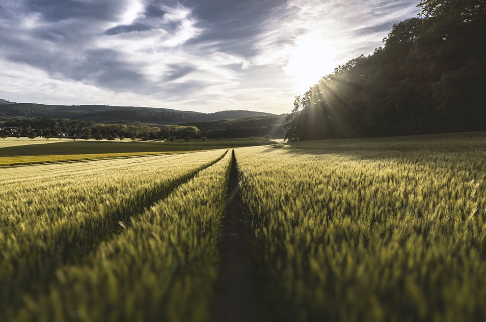 Sustainable Development Goals and Daylight – The Lighting Tips
